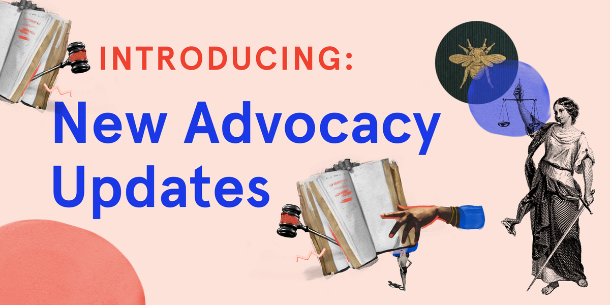 Advocacy Updates from the Freelancers Union